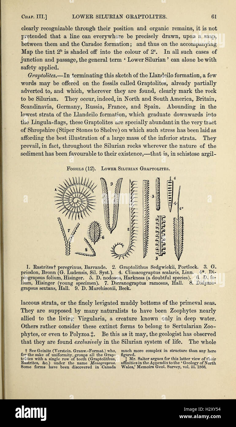 'Siluria' discusses the ancient geological period of the Silurian ...