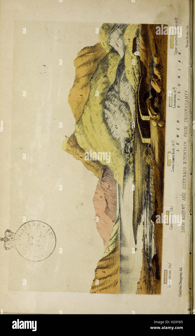 Animals of the silurian hi-res stock photography and images - Alamy