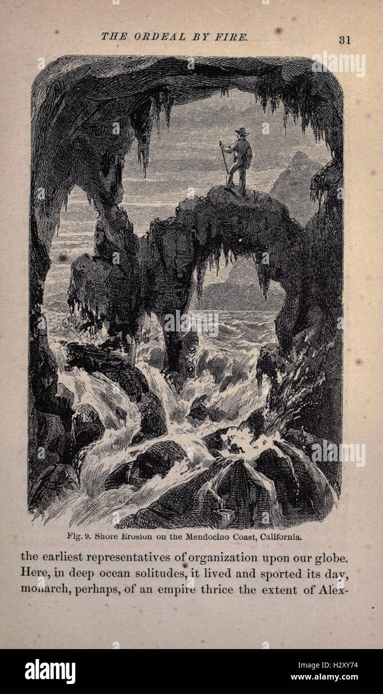 'Sketches of Creation' provides an exploration of natural history and ...