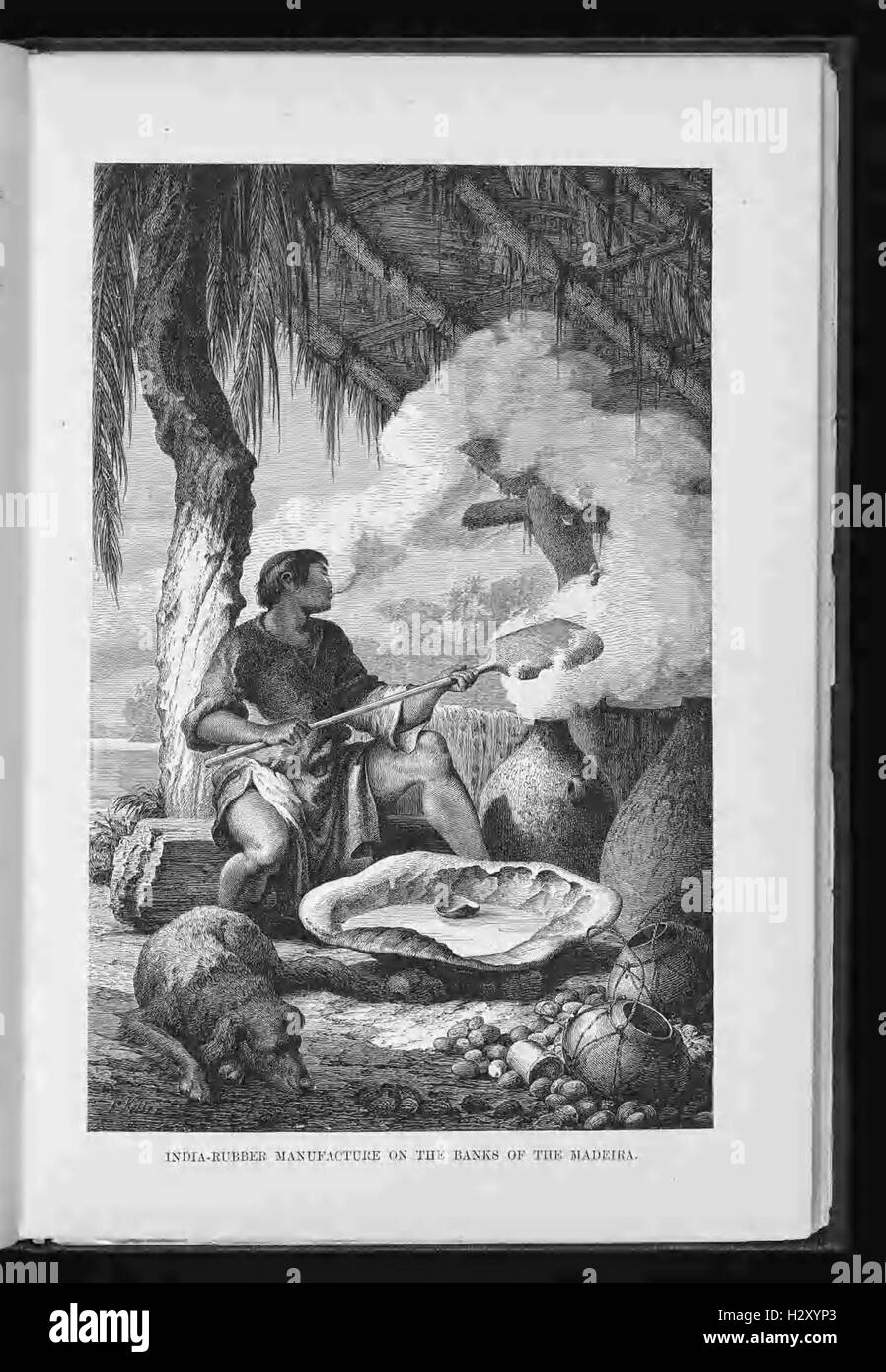 Amazon and madeira rivers hi-res stock photography and images - Alamy