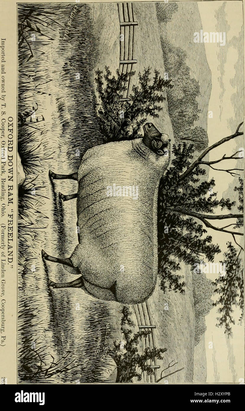 This comprehensive agricultural guide provides detailed information on ...