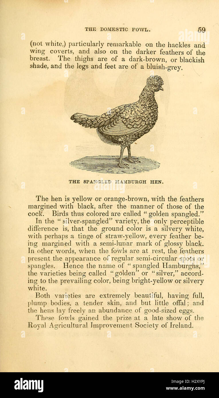 This work provides a comprehensive guide to the management of poultry ...