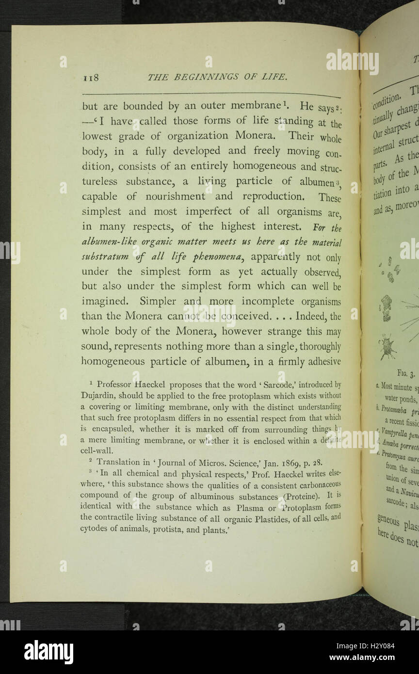This text explores the origins of life on Earth, detailing early ...