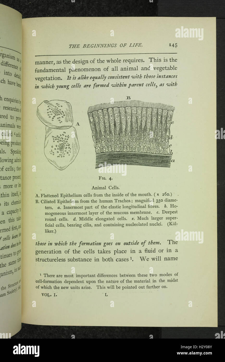 'The Beginnings of Life' explores the origins of life on Earth ...