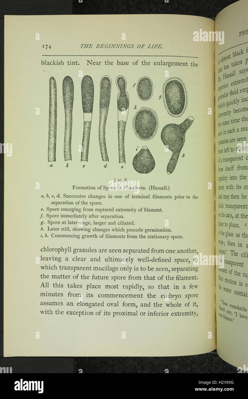 This section examines the early stages of life on Earth, discussing ...