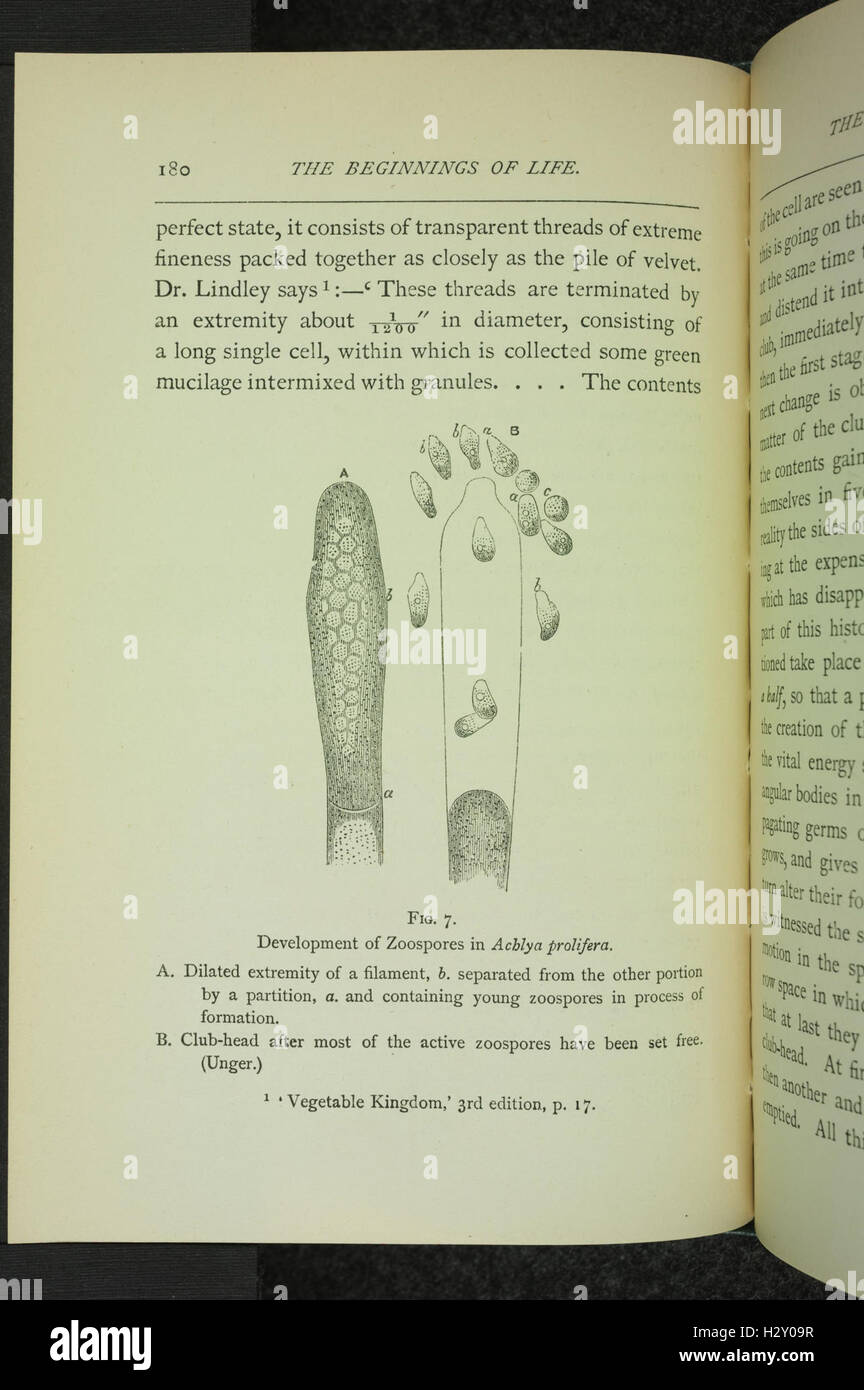 This work explores the origins of life on Earth, examining the earliest ...