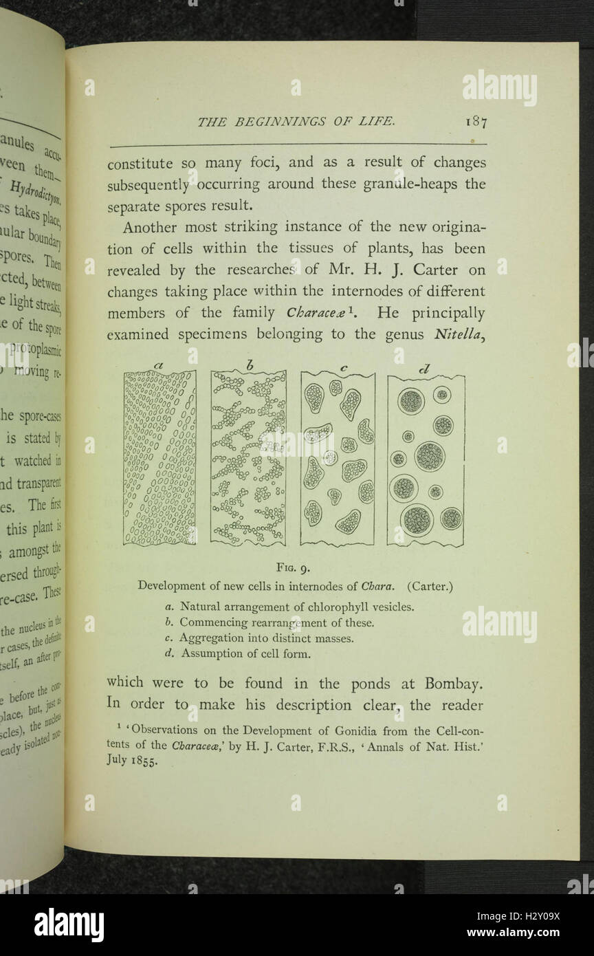 A scientific exploration of the origins of life, covering theories and ...