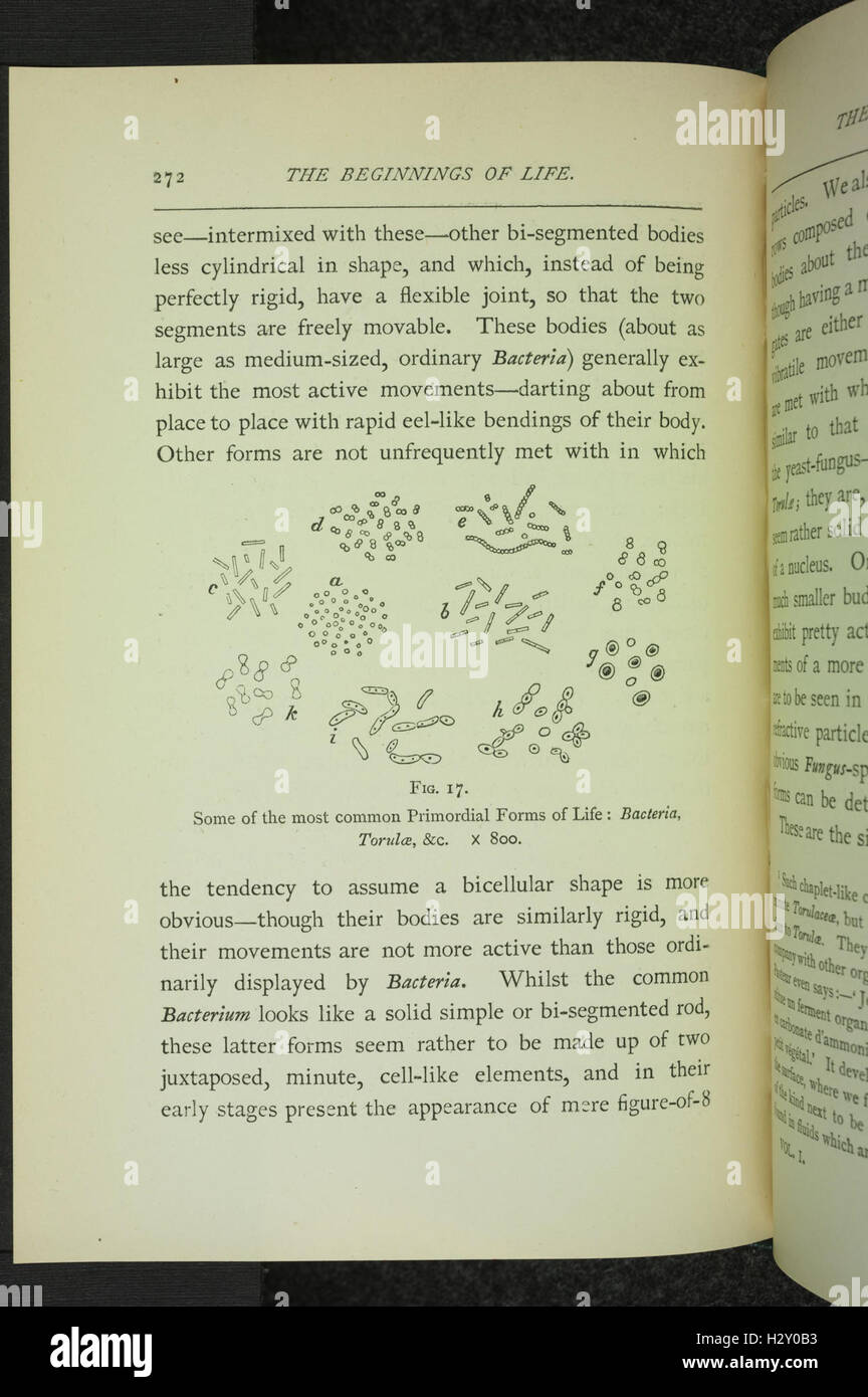 This section discusses the origins of life, exploring early biological ...