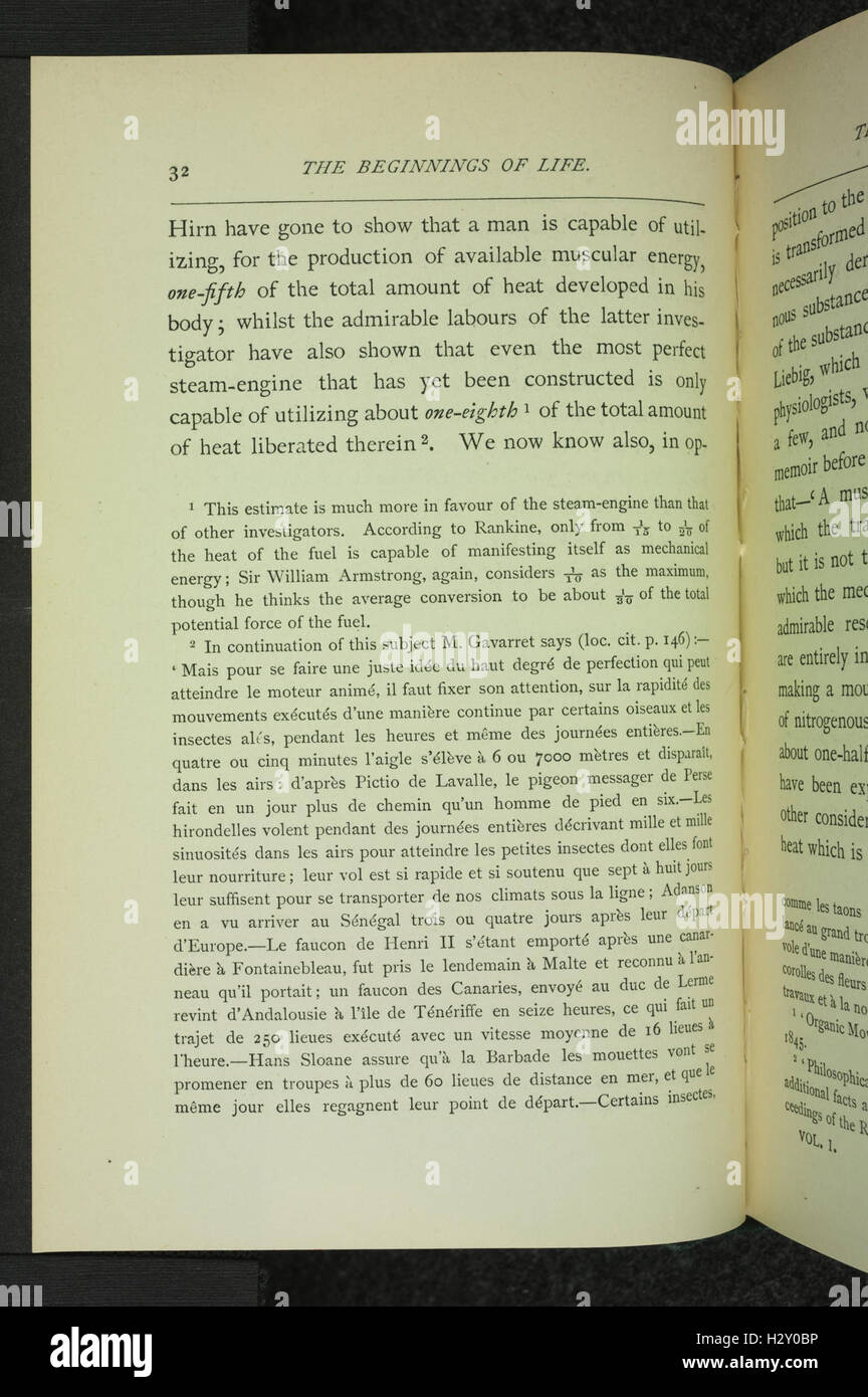 This work explores theories and scientific research on the origins of ...