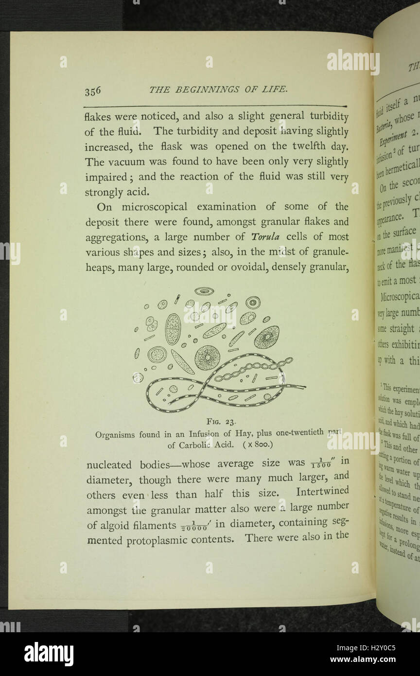 This work delves into the origins of life on Earth, exploring theories ...
