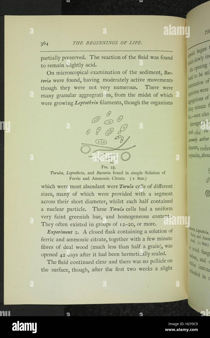 This work explores theories and scientific findings on the origins of ...