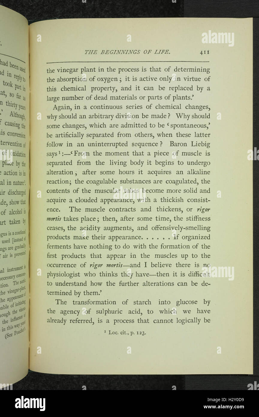 A study on the origins of life, exploring the scientific theories and ...