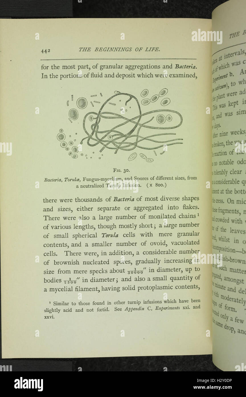 An exploration of the origins of life, examining early biological ...