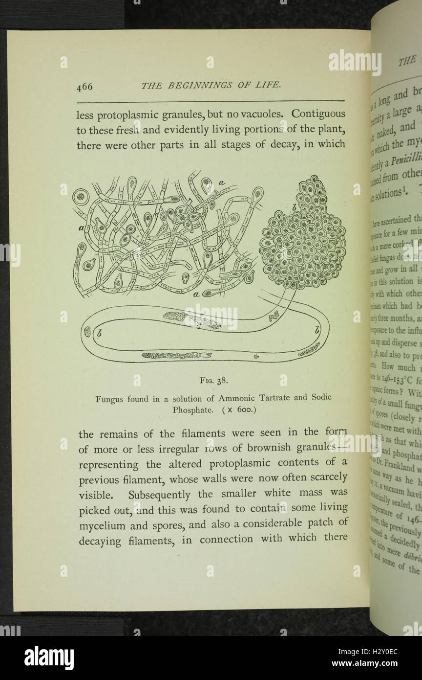 This work explores the origins of life, providing scientific ...
