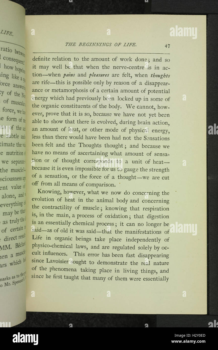 An analysis of the first moments of life on Earth, examining early ...