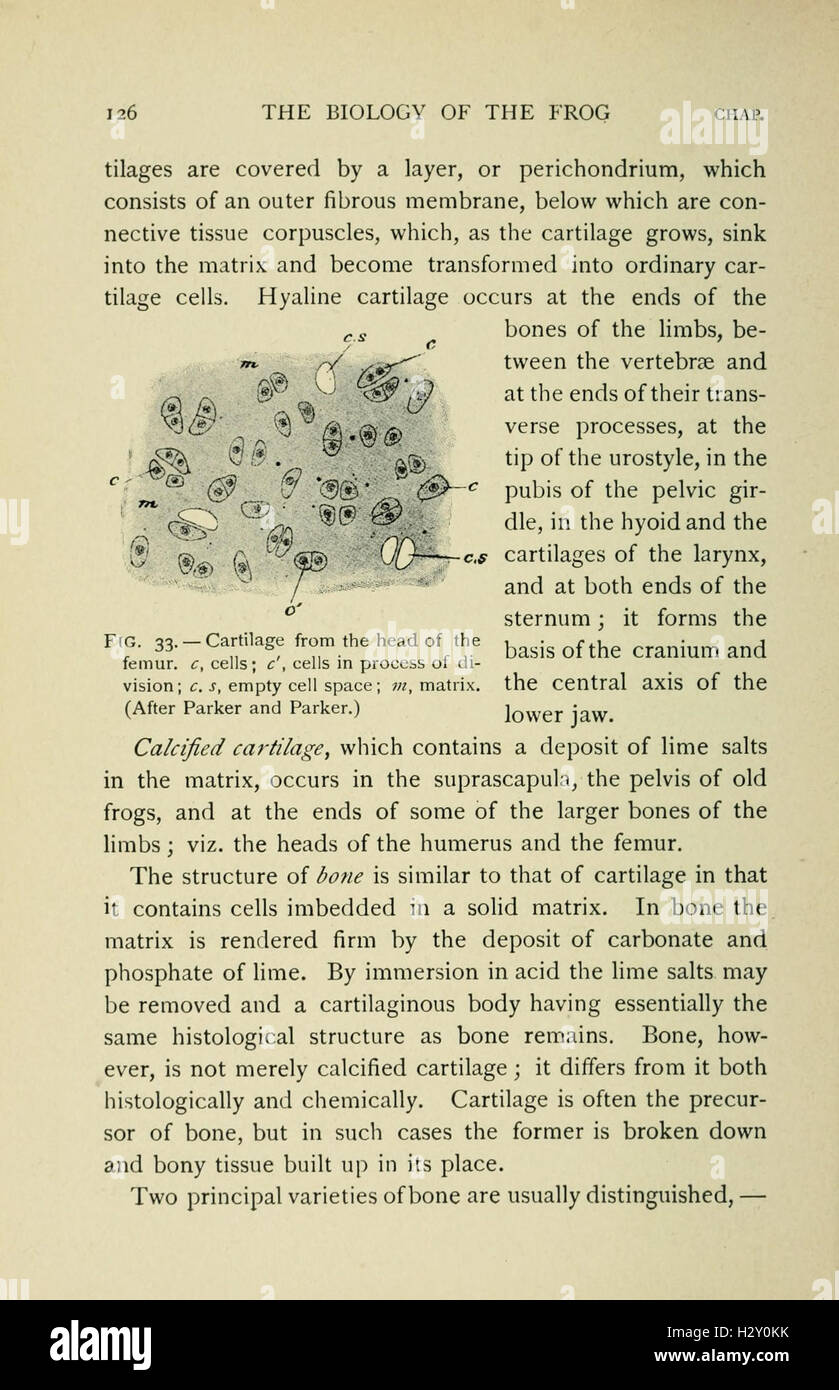 This work examines the biological characteristics and life cycle of ...