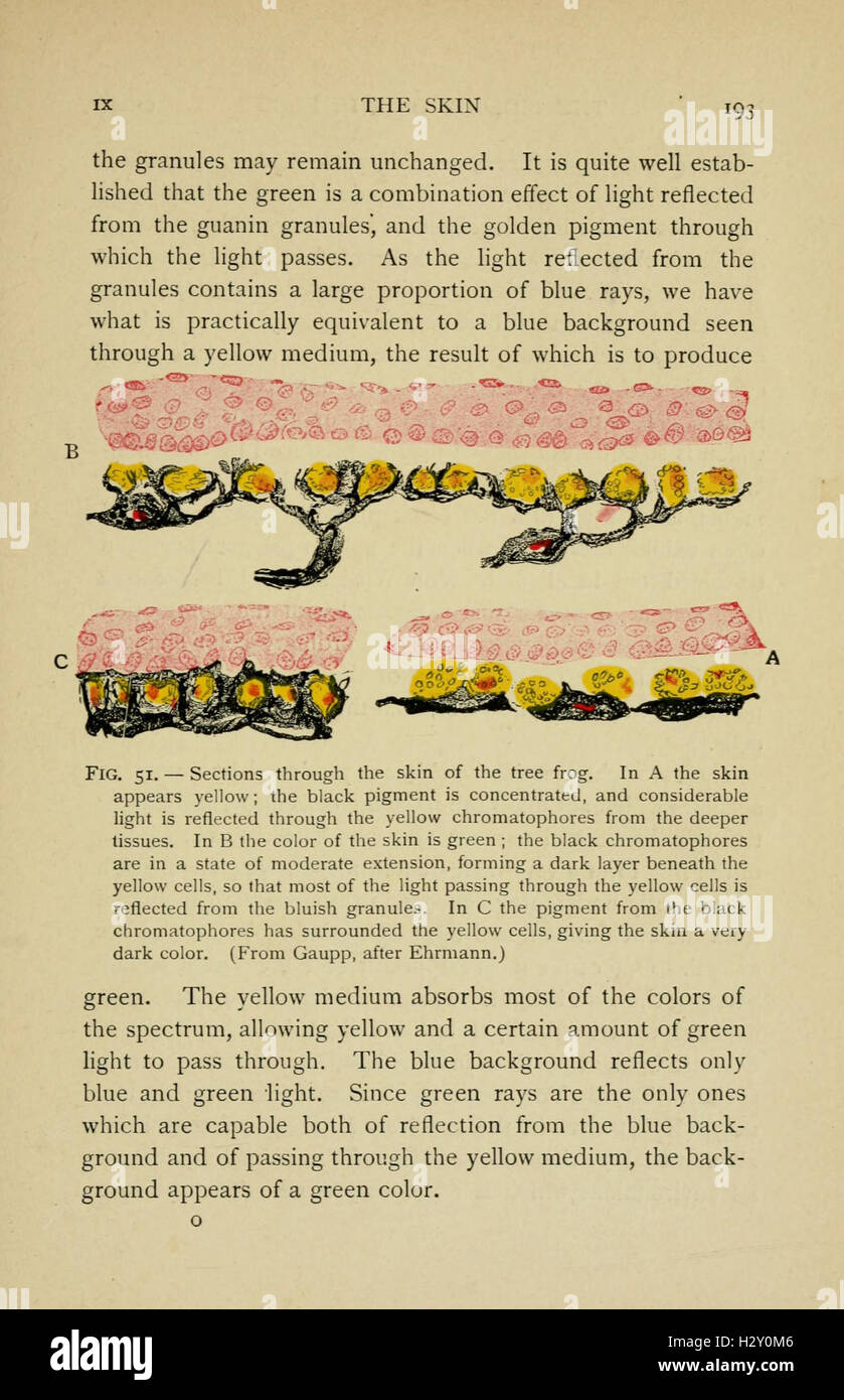A detailed study of the biological characteristics and life cycle of ...
