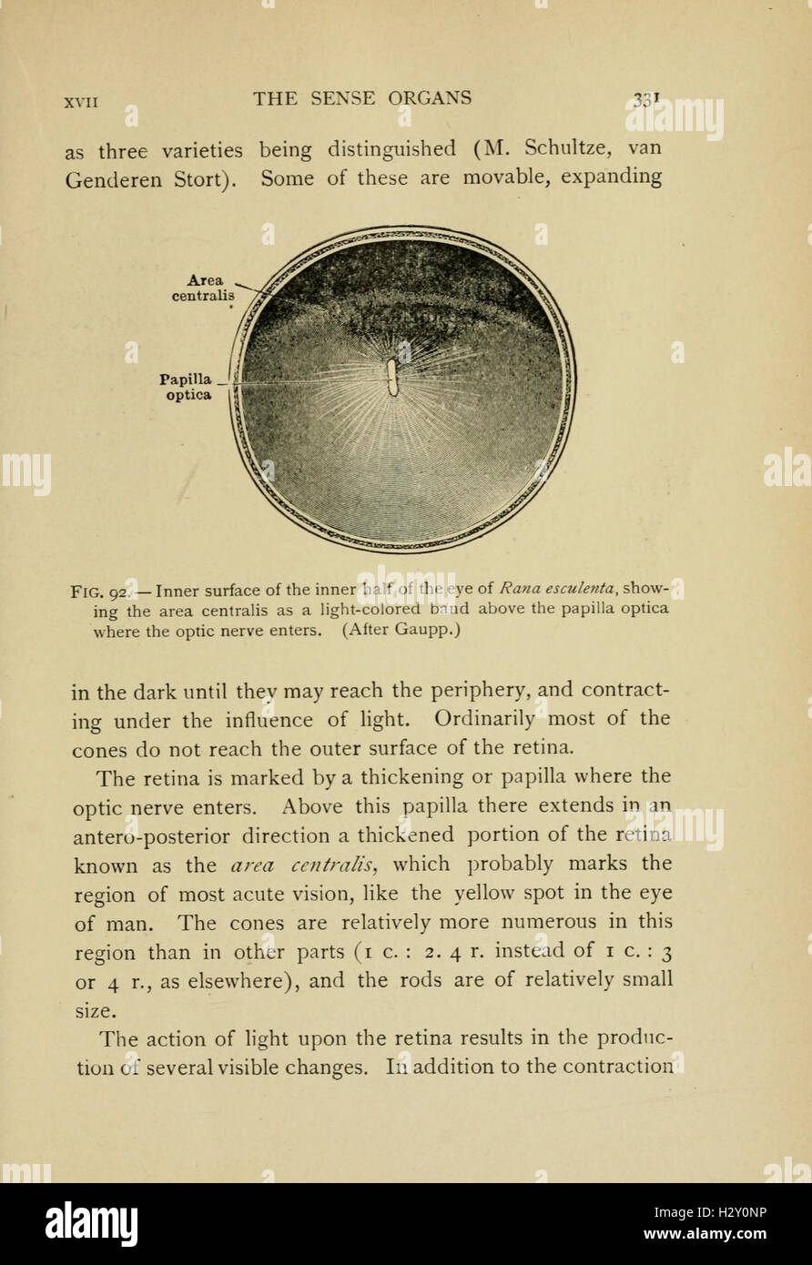 This work focuses on the biology of frogs, covering their anatomy ...