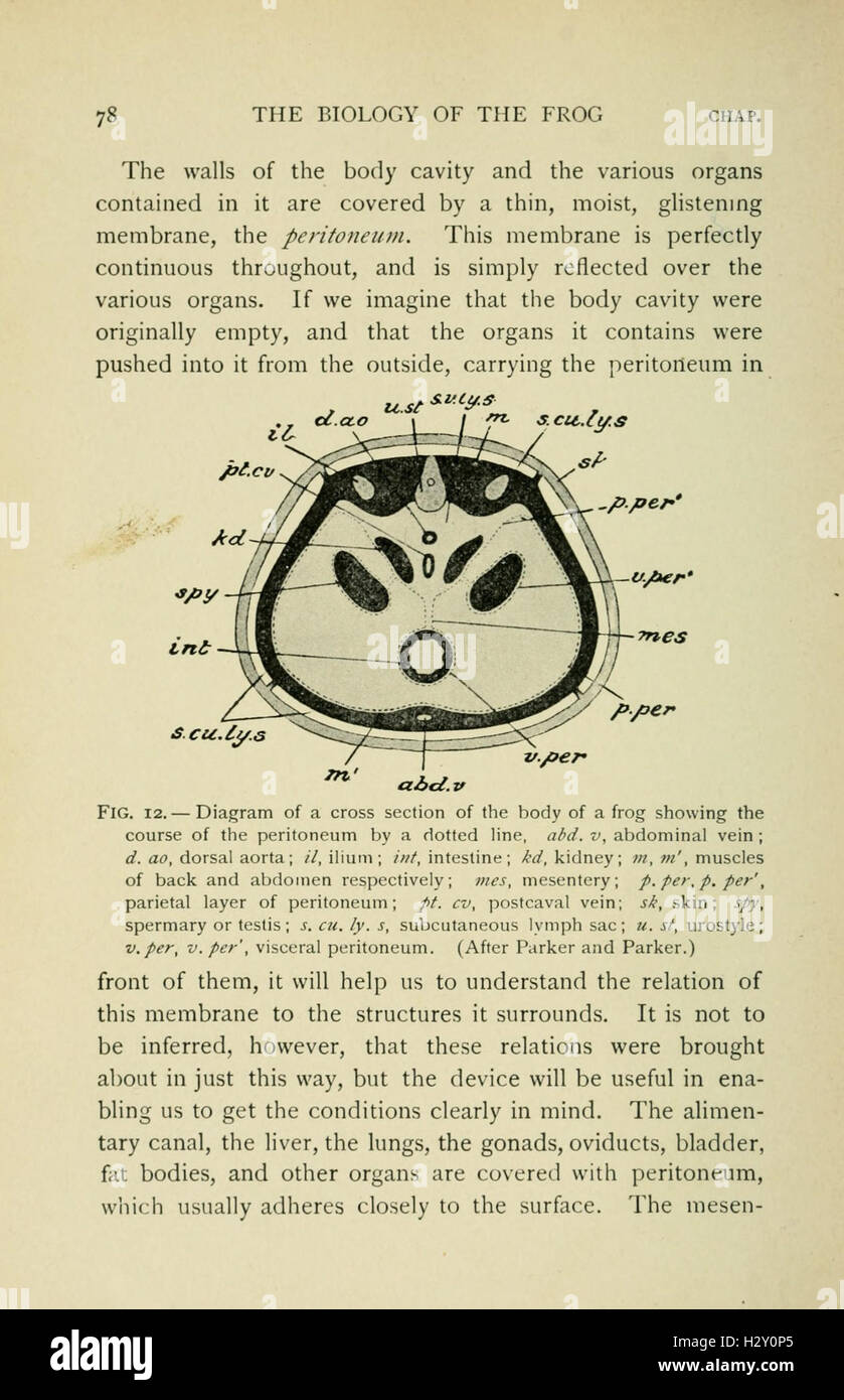 This page from *The Biology of the Frog* presents detailed information ...