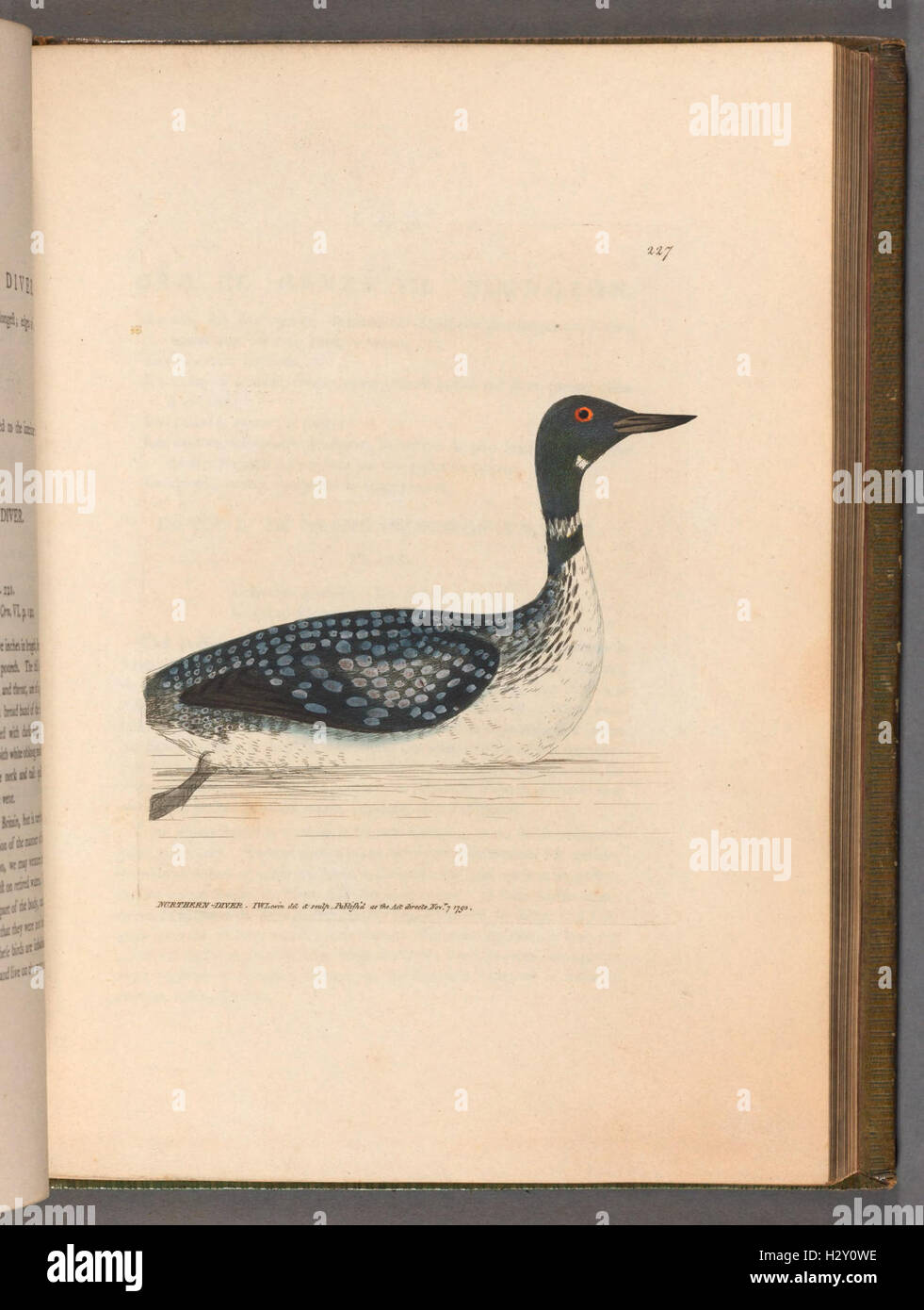 This book provides a comprehensive guide to the birds of Great Britain ...