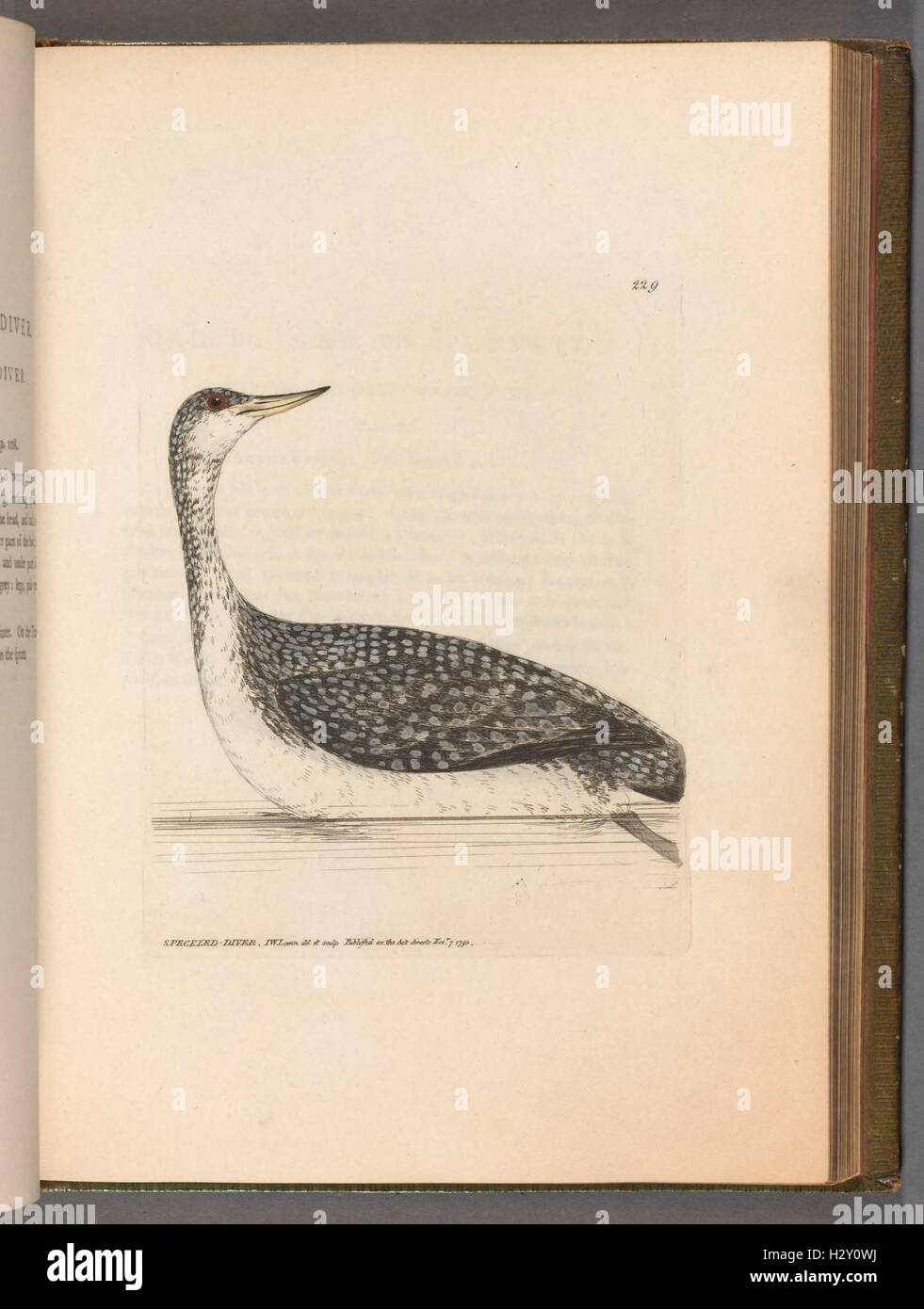 A comprehensive guide to the birds of Great Britain, including species ...