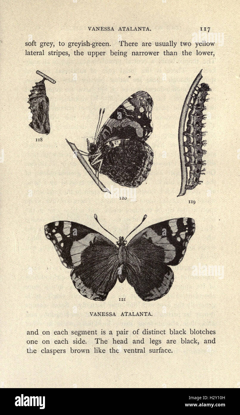 This work provides a comprehensive guide to the identification and ...