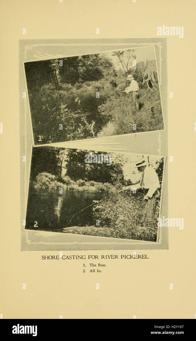 A work that focuses on the pike, a predatory fish species, illustrated ...