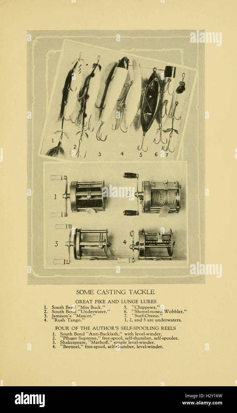 A detailed guide on the pike species, illustrated with photographs ...