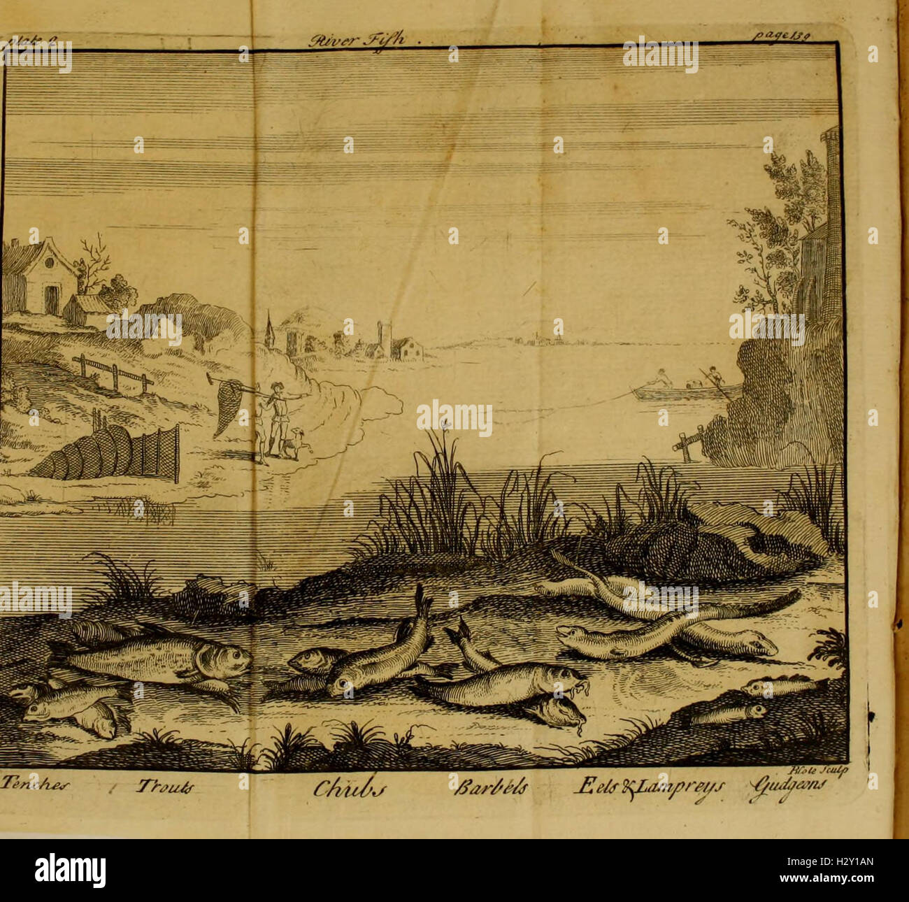 The British angler (Plate 2) BHL99 Stock Photo - Alamy