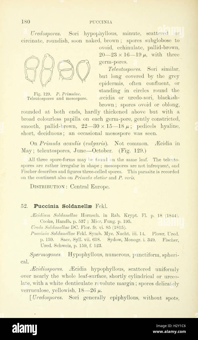 A scientific study on the British rust fungi (Uredinales), detailing ...