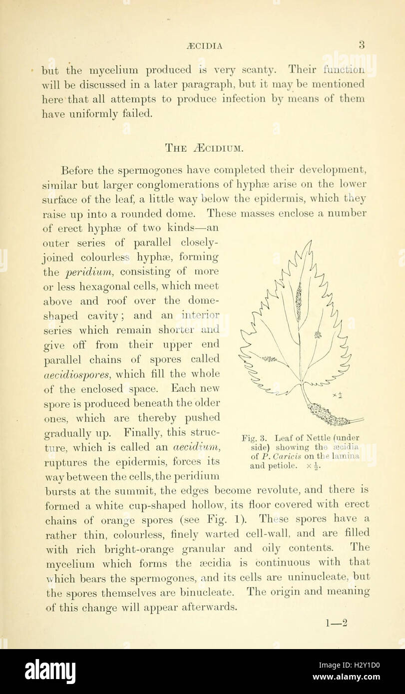 'The British Rust Fungi' discusses various species of rust fungi in the ...