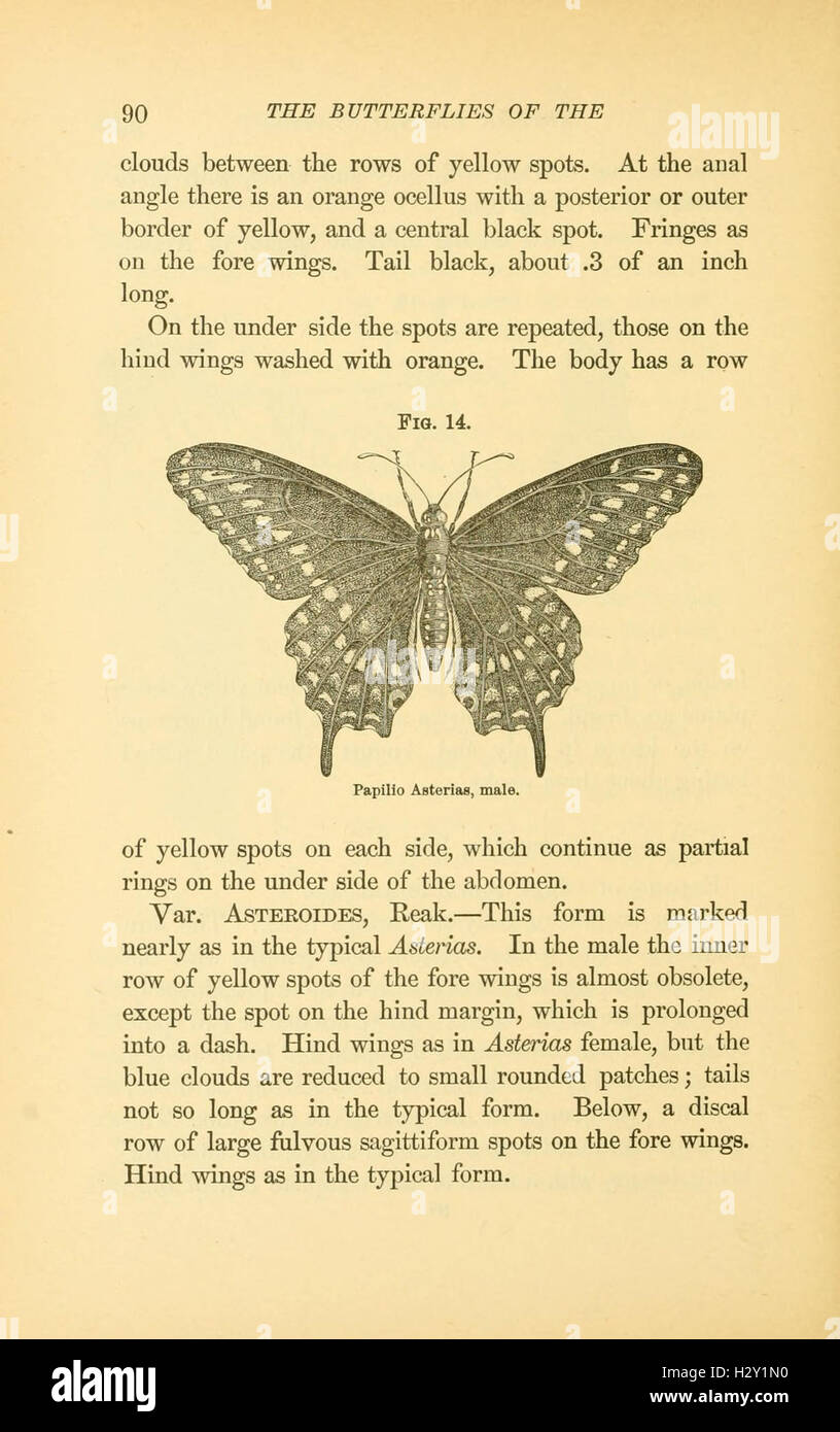 The butterflies of the eastern United States (Page 90) BHL98 Stock ...