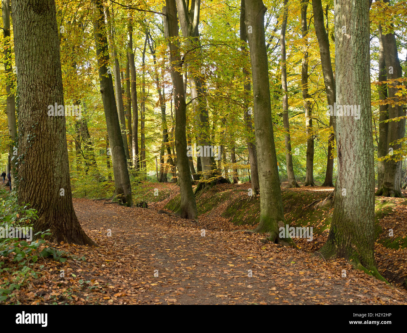 autumn in germany Stock Photo - Alamy