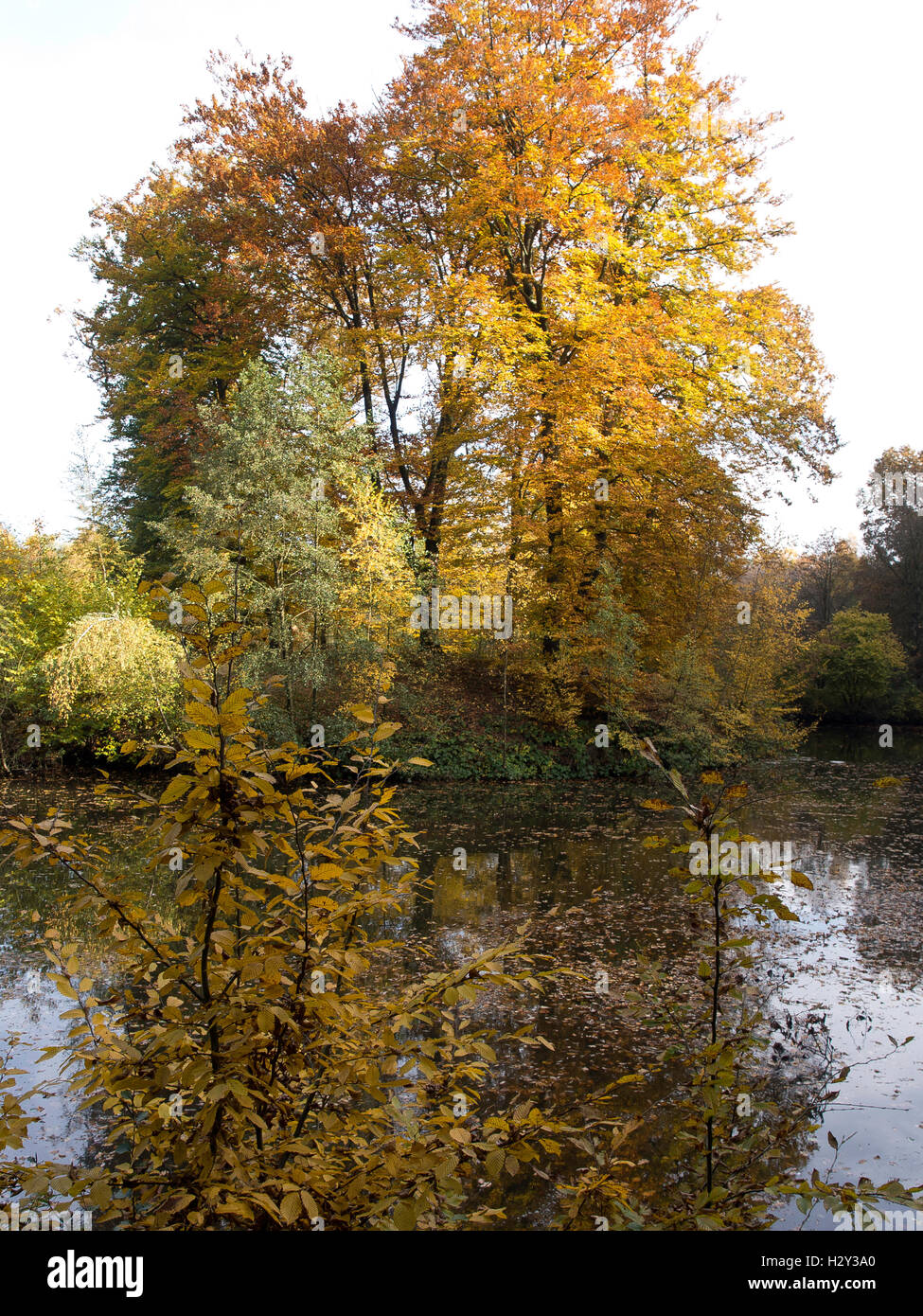 autumn in germany Stock Photo - Alamy