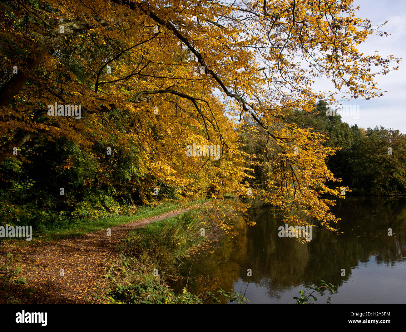 autumn in germany Stock Photo - Alamy