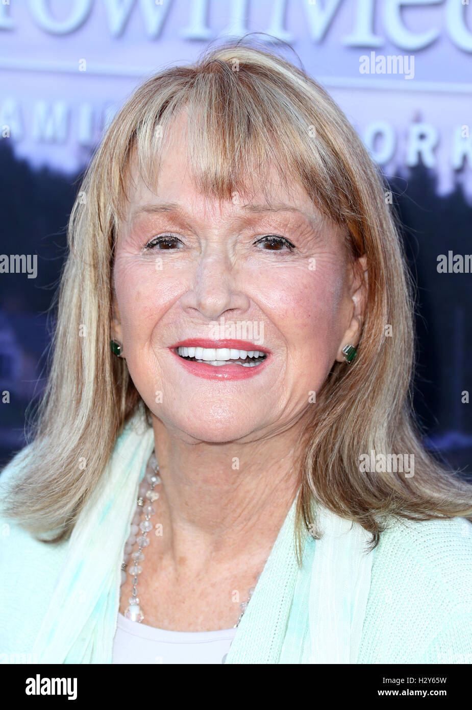 Hallmark Channel And Hallmark Movies And Mysteries Summer 2016 TCA ...