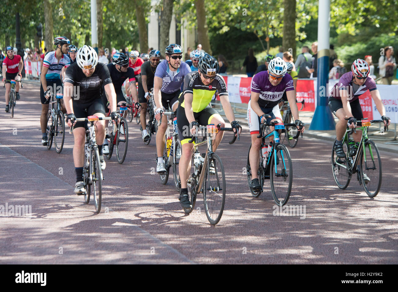 Sunday 31st July 2016elebs and members of the public compete in the ...
