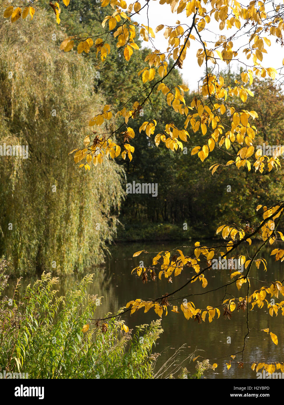 autumn in germany Stock Photo - Alamy