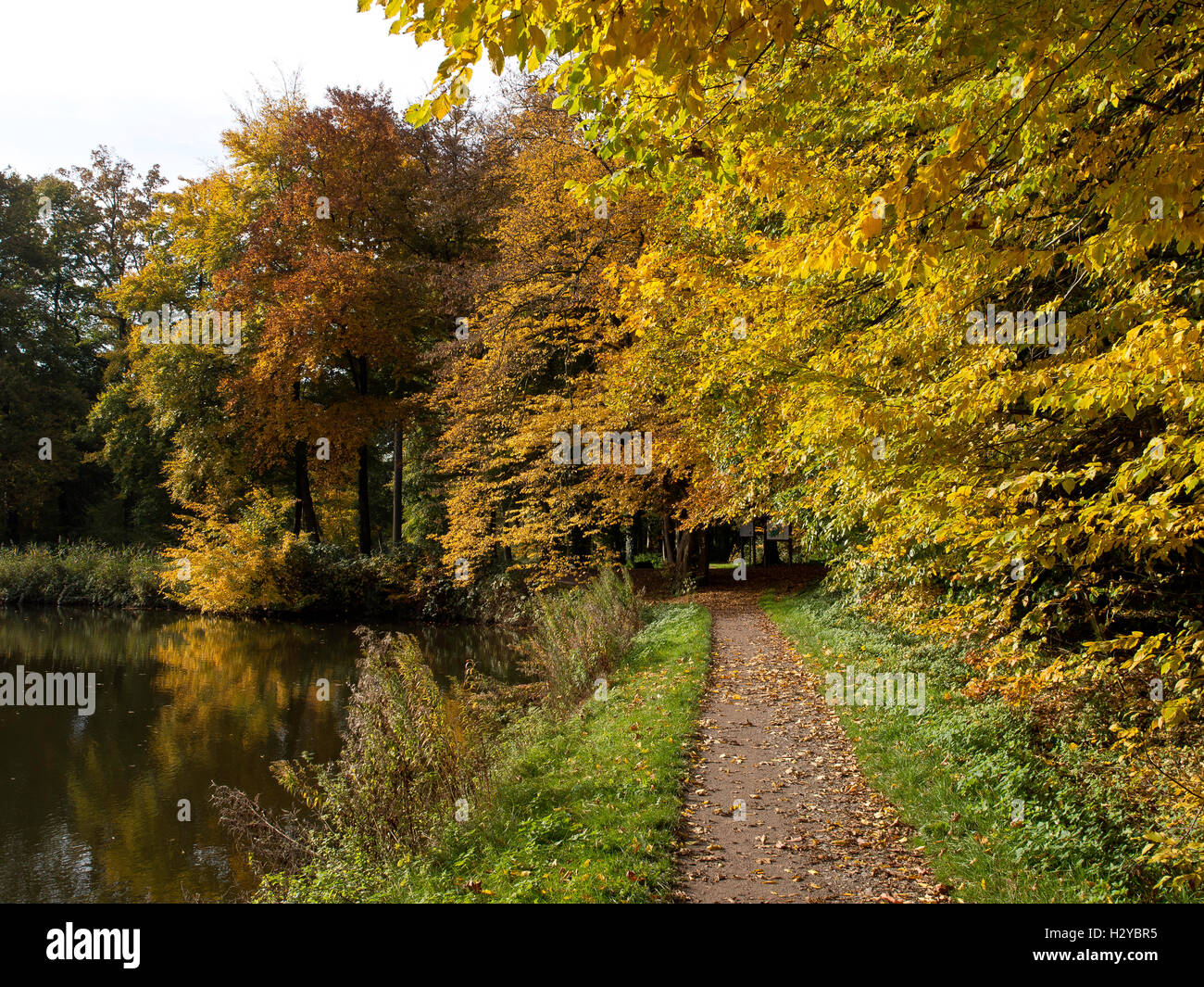 autumn in germany Stock Photo - Alamy