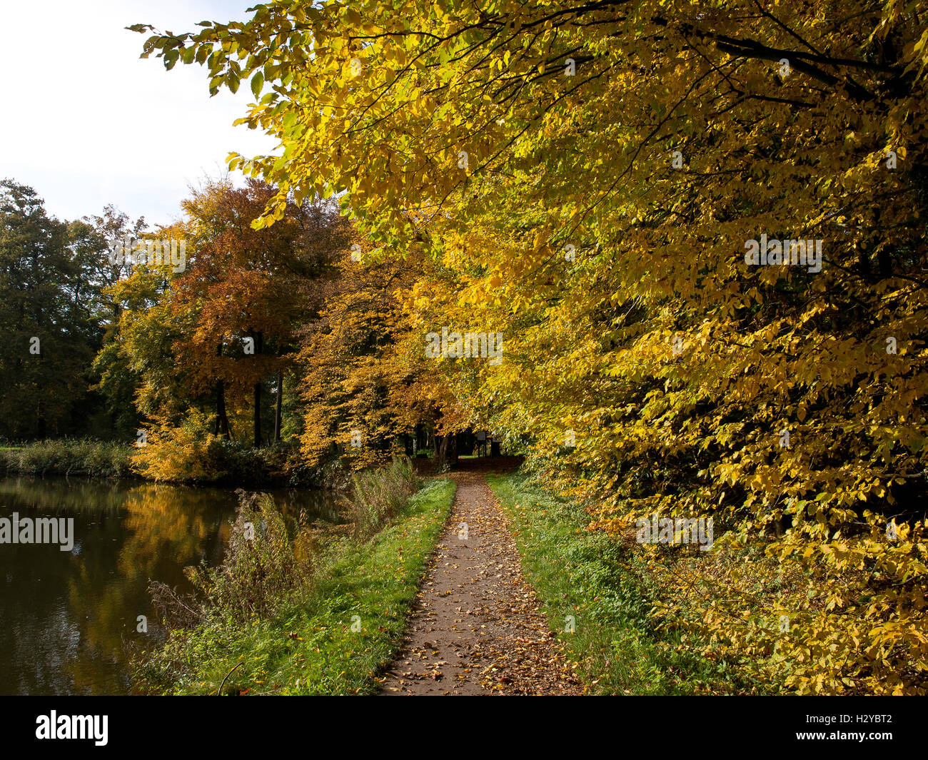 autumn in germany Stock Photo - Alamy