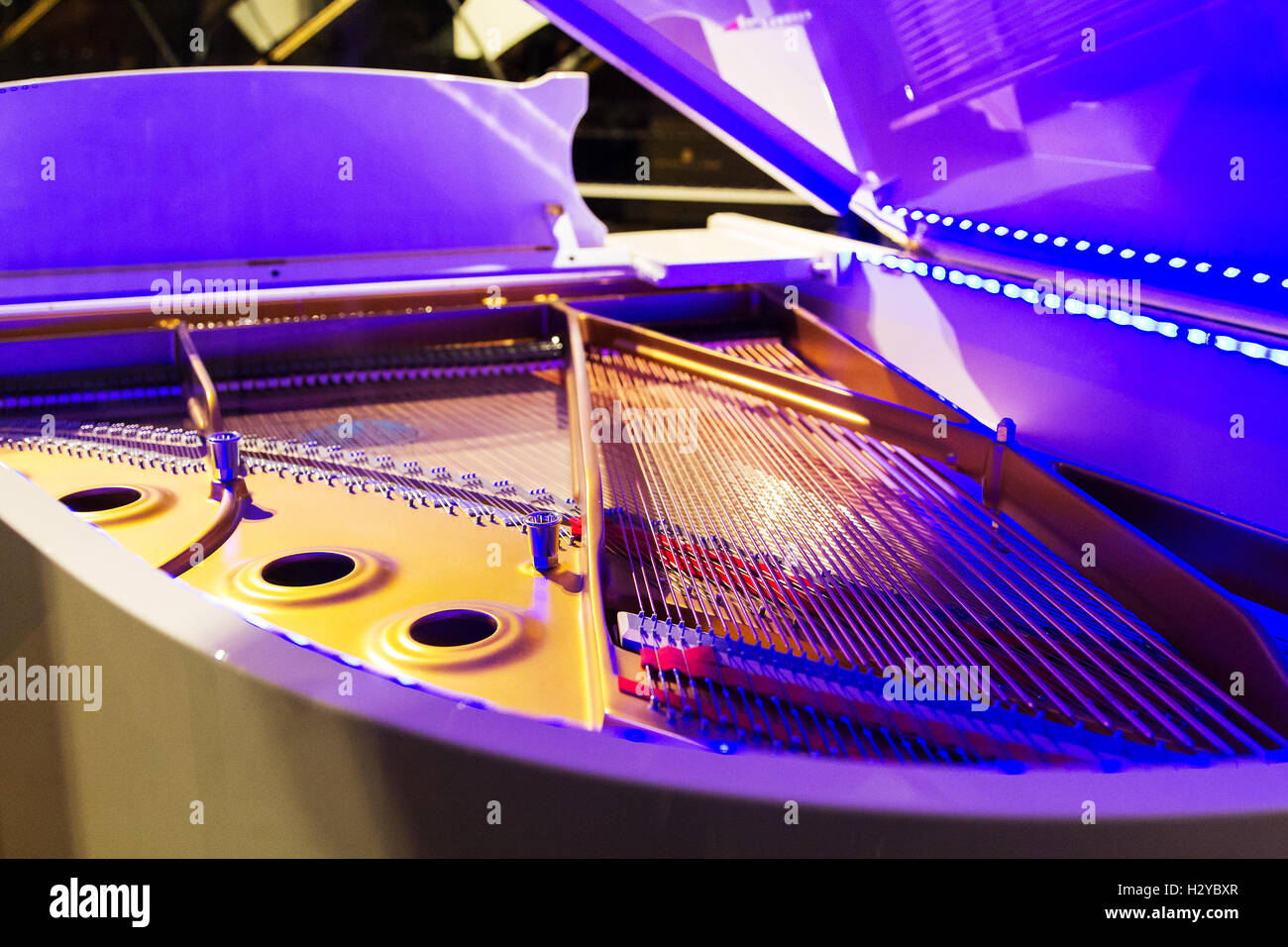 Open bass strings hi-res stock photography and images - Alamy