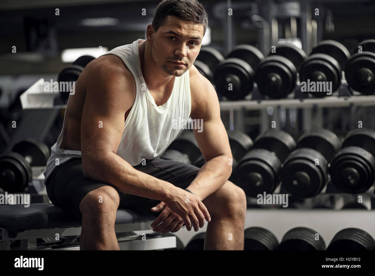 Athletic well built man sitting in a gym Stock Photo - Alamy