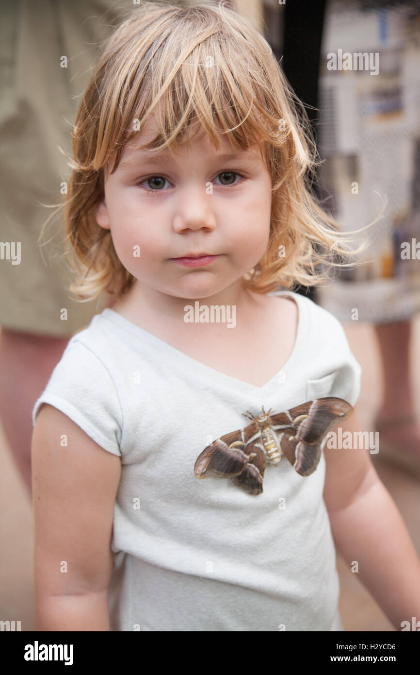 portrait of three years old blonde pretty child looking with beautiful ...