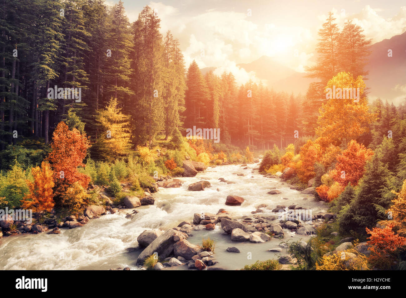Beautiful colorful autumn landscape with a stream and forest in toned ...