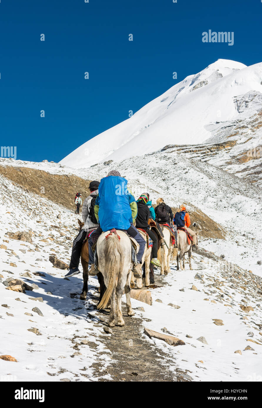 Group of people riding ponies across mountain pass Stock Photo - Alamy