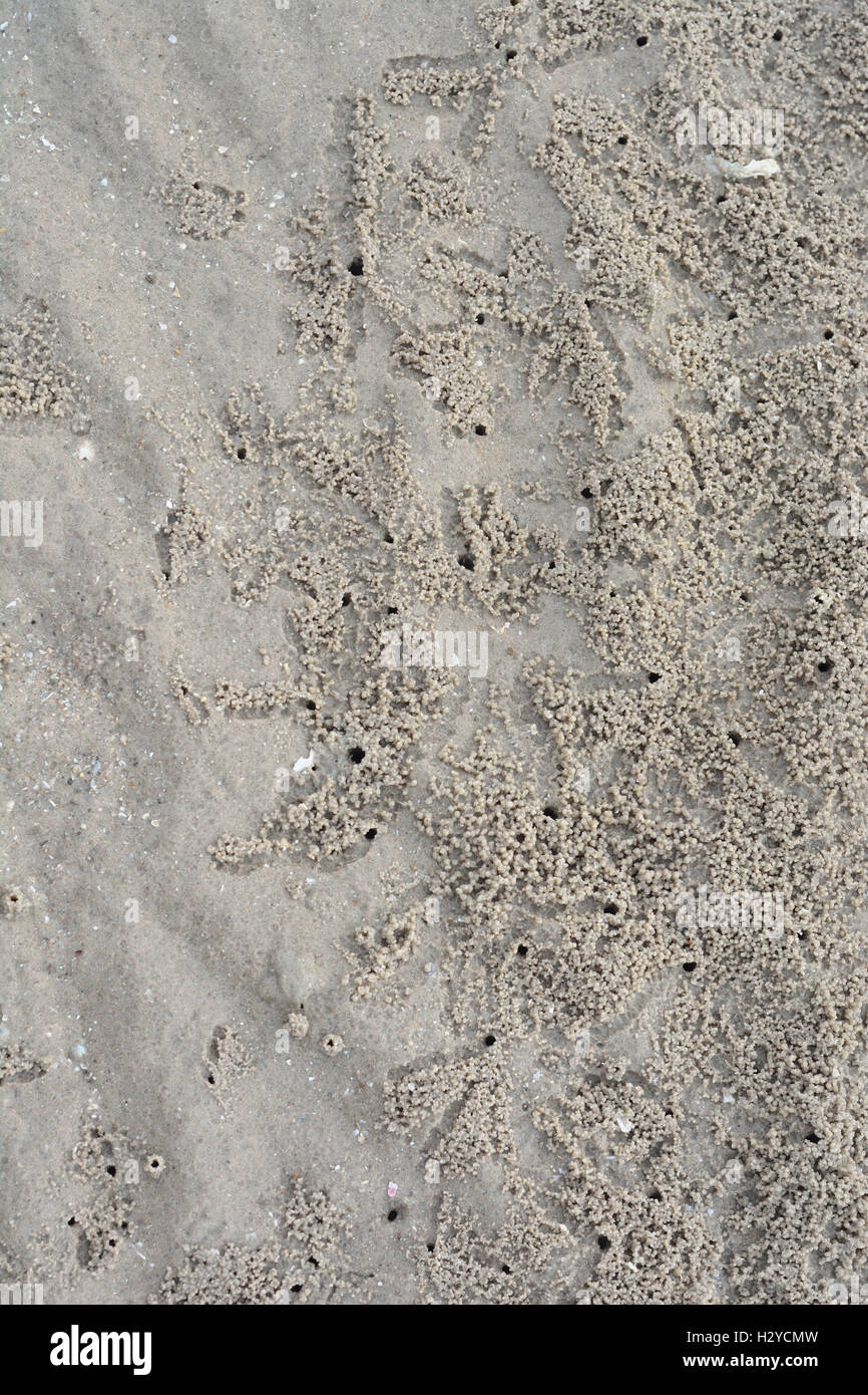 Detail of the patterns on the beach Stock Photo - Alamy