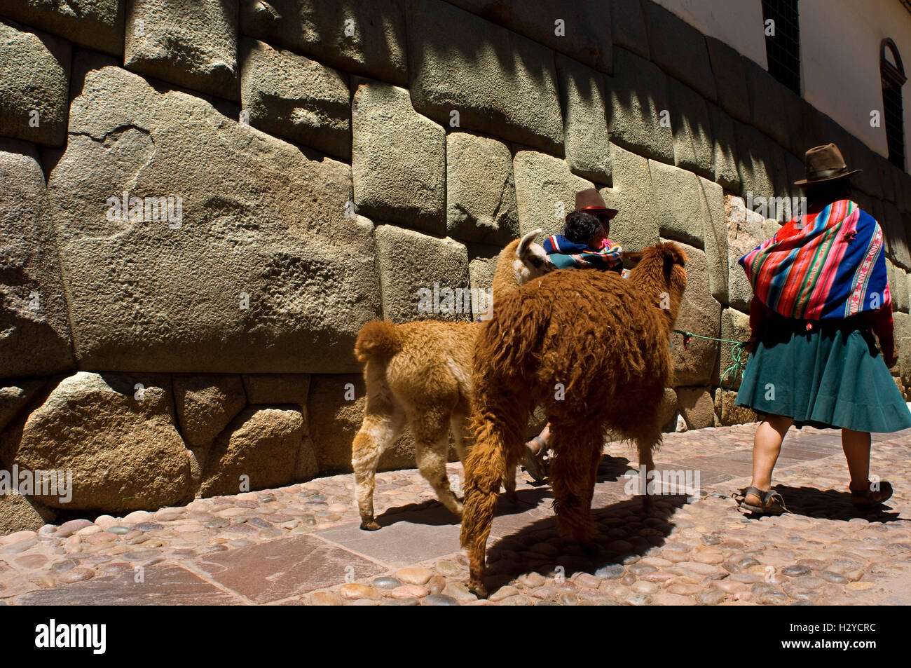 A woman and her llamas beside the stone of 12 angles. This stone is ...