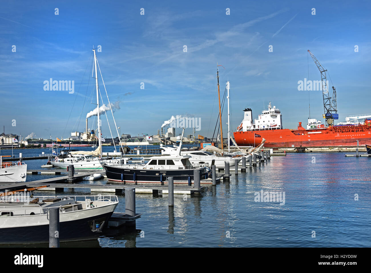 City Marina Amsterdam north side of the IJ at the NDSM Dutch The ...