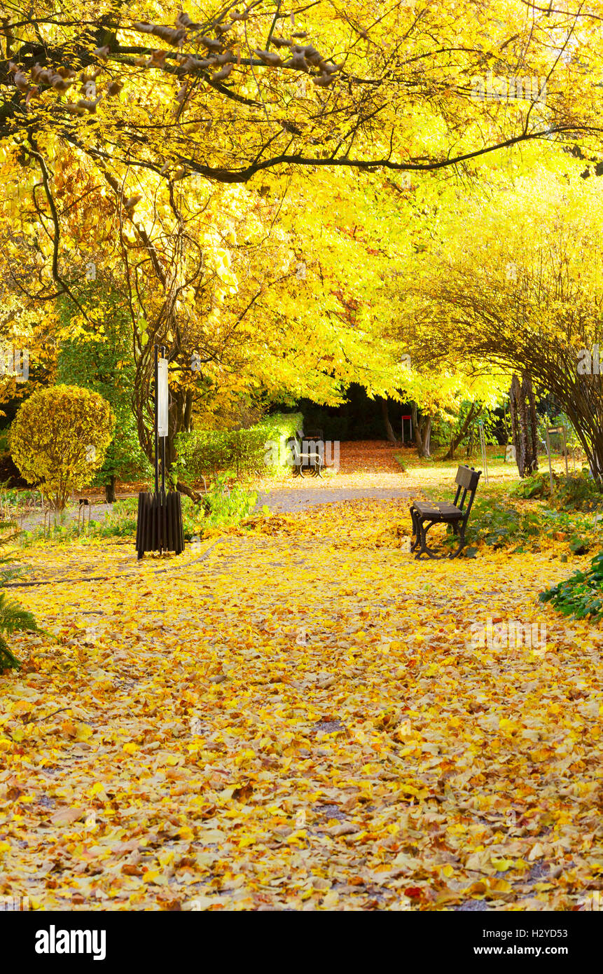 Fall park path Stock Photo - Alamy
