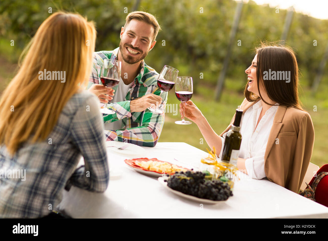 Young people enjoy dinner and wine tasting in the vineyard Stock Photo ...
